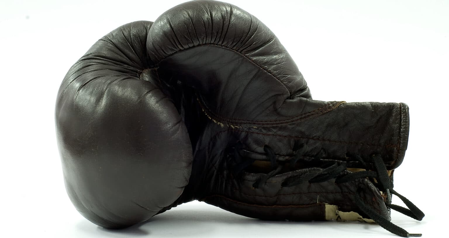 Reece Bellotti vs Michael Gomez Jr. Predictions, Picks and Odds October ...