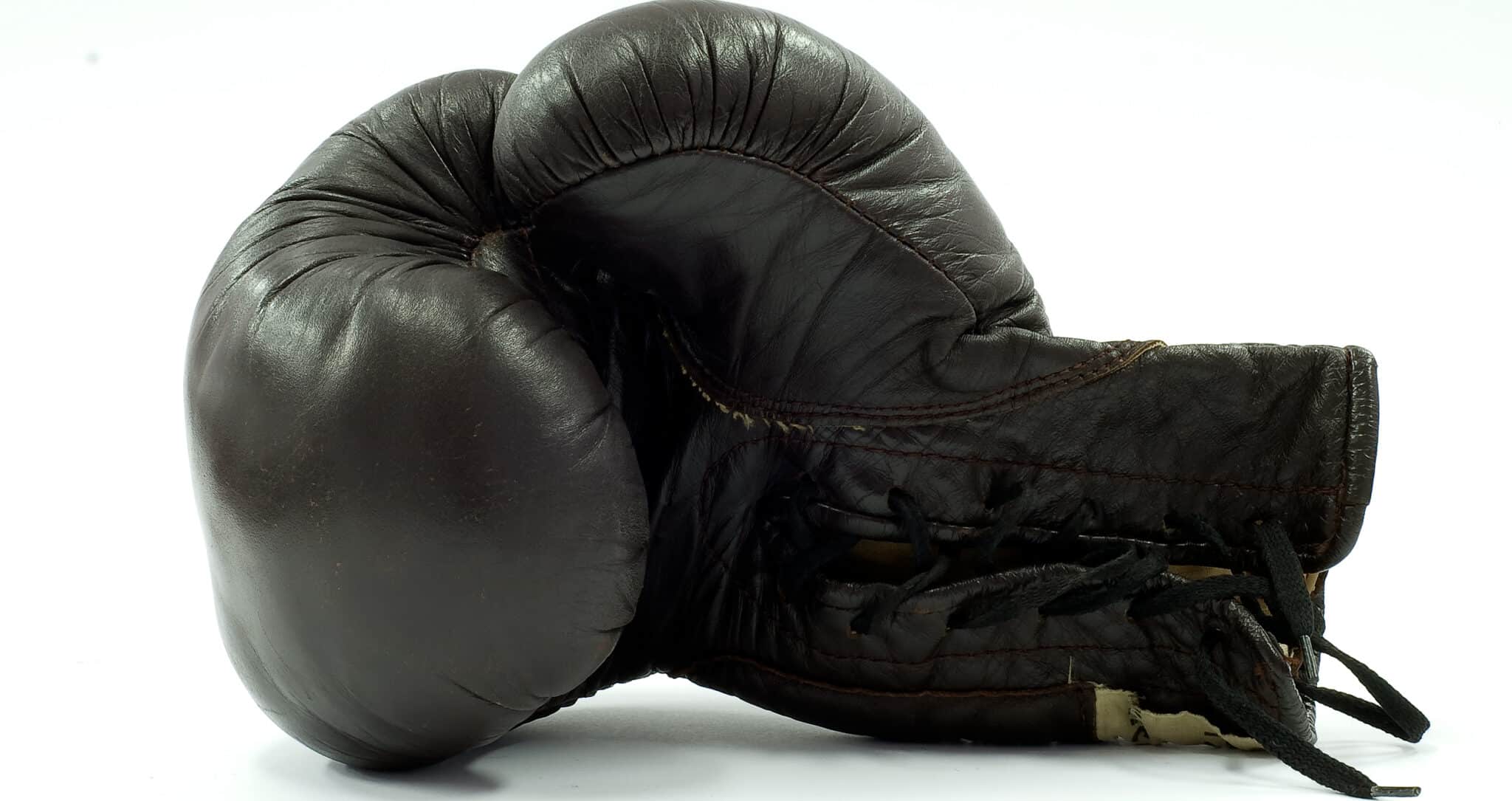 Diego Pacheco vs Steven Nelson Preview and Picks January 25 - Boxing ...