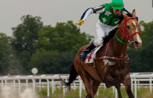 What is A Superfecta Bet? Superfecta Horse Racing Betting Explained ...